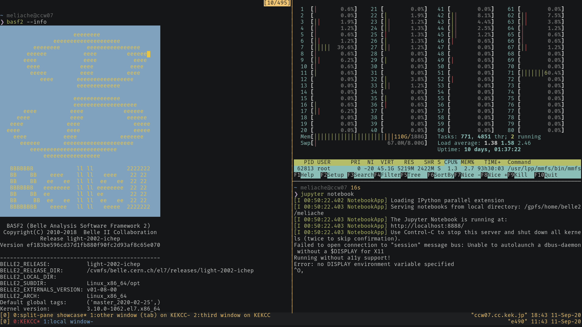 3.3.2. SSH - Secure Shell — basf2 light-2511-gacrux documentation